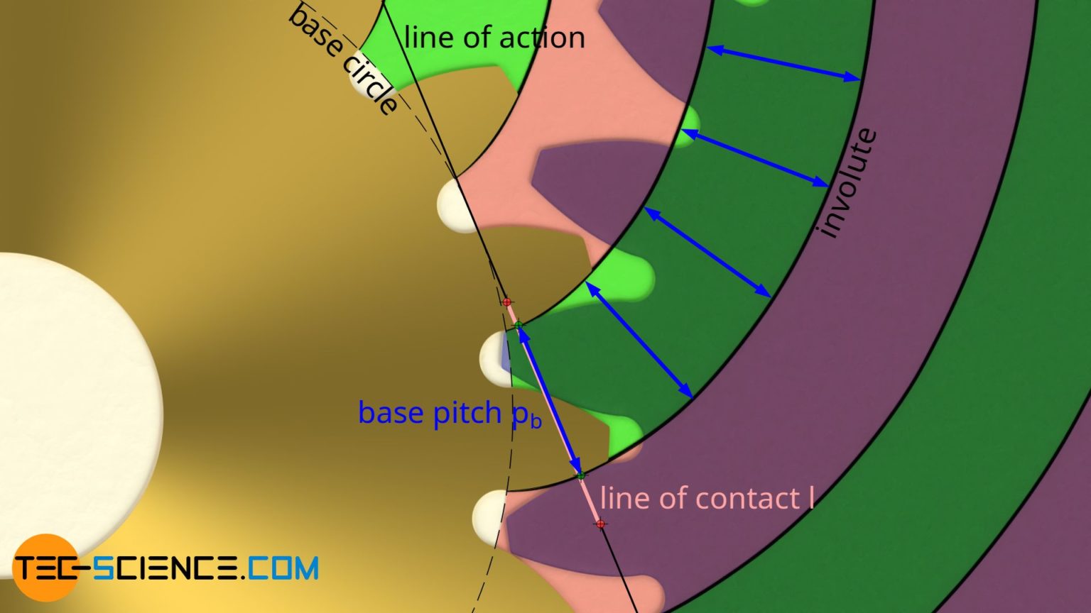 Engaging of involute gears (meshing) | tec-science